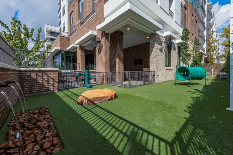 View Photos of Our Pearl Washington Apartments for Rent.